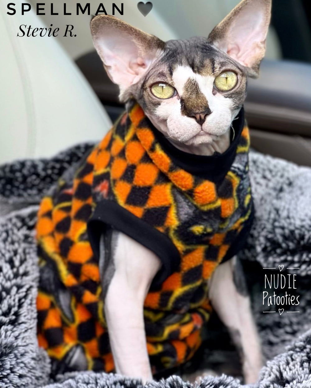 Sphynx Clothes l Cat Sweaters l Sphynx Shirts l Clothes For Cats ...
