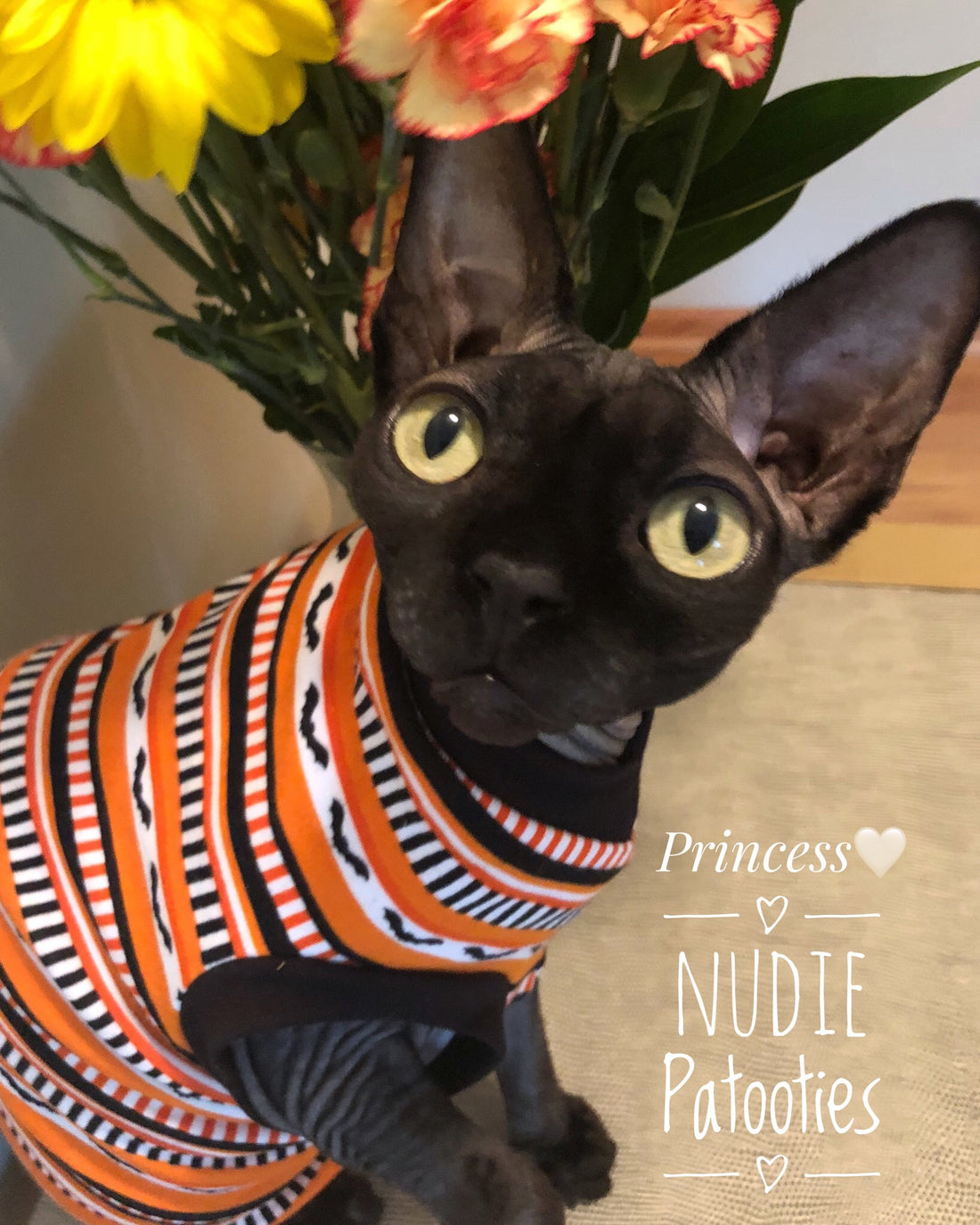 Batty Bat – Nudie Patooties